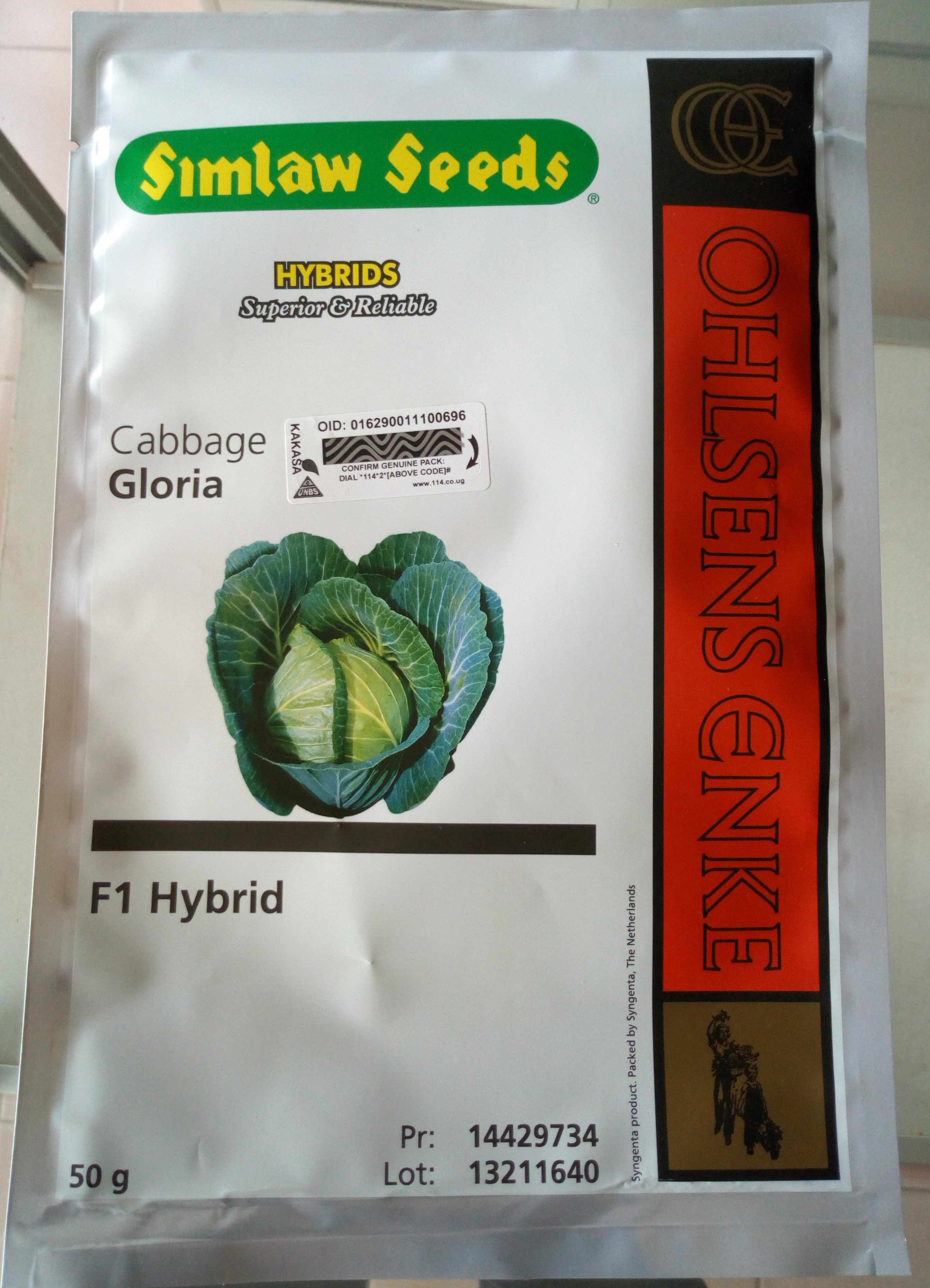Gloria F1 Cabbage seeds - Famunera