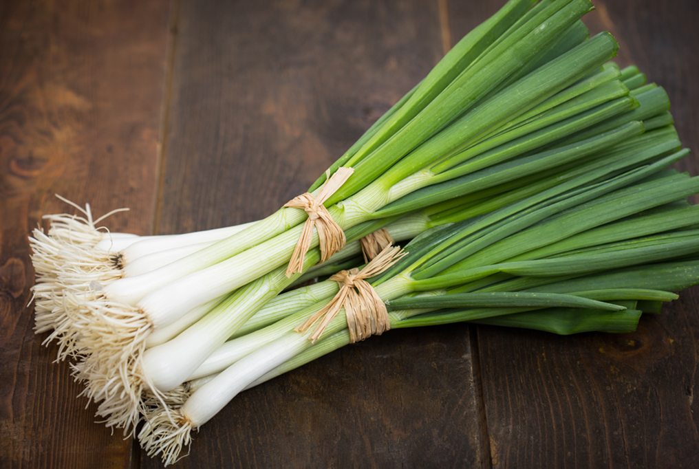 Spring Onion Bunching star - Famunera