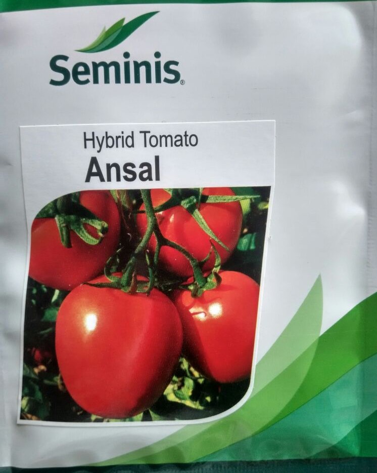 Ansal F1 tomato seeds - Famunera