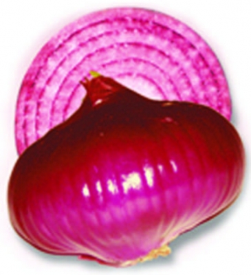 Red Creole onion seeds - Famunera