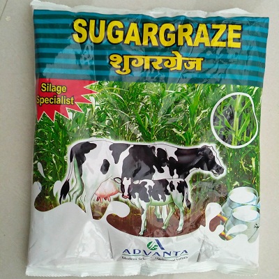 Sugargraze sweet sorghum pasture seeds - Famunera