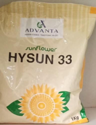 Hysun 33 Sunflower seeds - Famunera