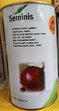 Jambar F1 Onion seeds - Famunera