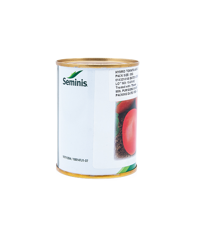 Assila F1 tomato seeds - Famunera